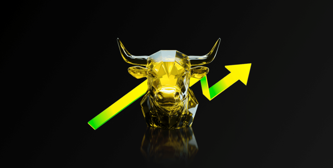 Navigating the Bull Market Storm: A Quick-Start Guide for Beginner ...