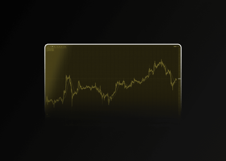 Darkex Guide - Darkex Official Academy Area