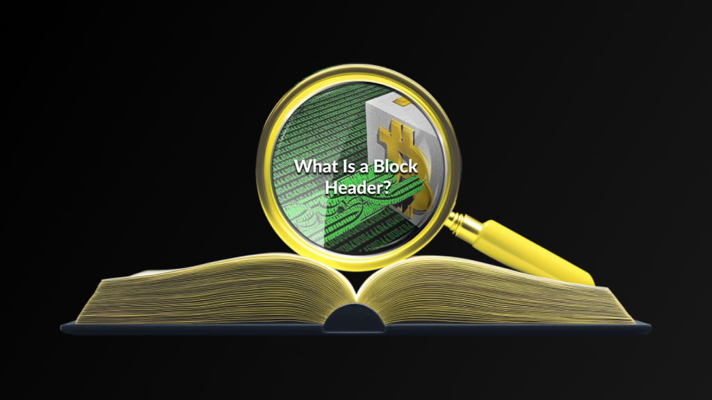 What Is a Block Header? - Darkex Official Academy Area