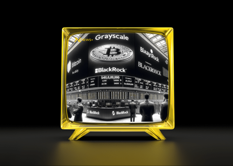 Home - Darkex Official Academy Area